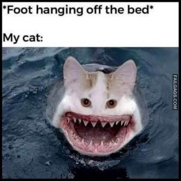 Random Funny Memes 13 Photos Random Funny Memes 13 Photos