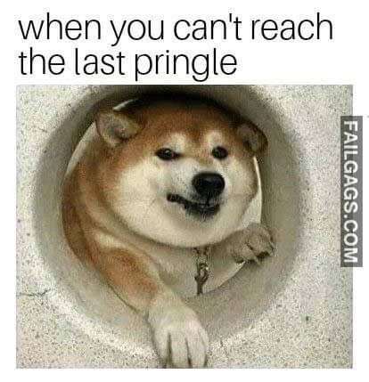 The Last Pringle