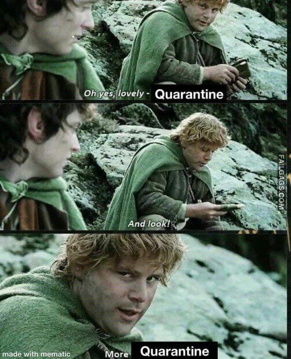 Funny Lord Of The Rings Memes (13 Photos)