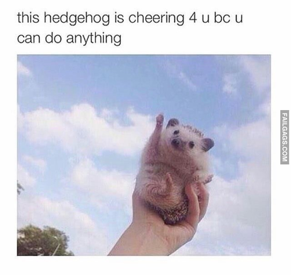 11 Funny Self Care Memes For All Those Needing Pampering