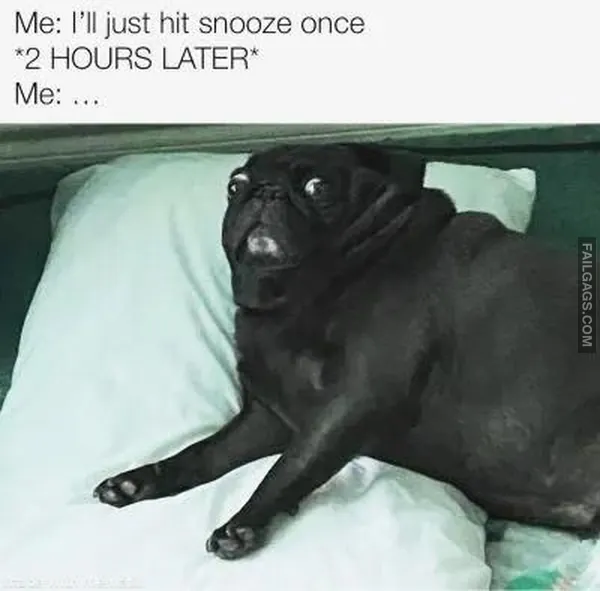 13 Funny Sleep Memes That Anyone Can Relate To